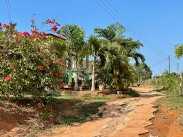 Viñales on Foot: A Tranquil Guide to Exploring the Cuban Countryside ...