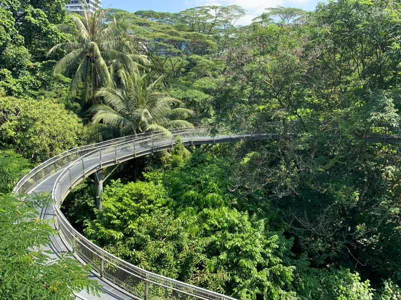 Nature Scenic Walks In The Southern Ridges Of Singapore Finishing In ...
